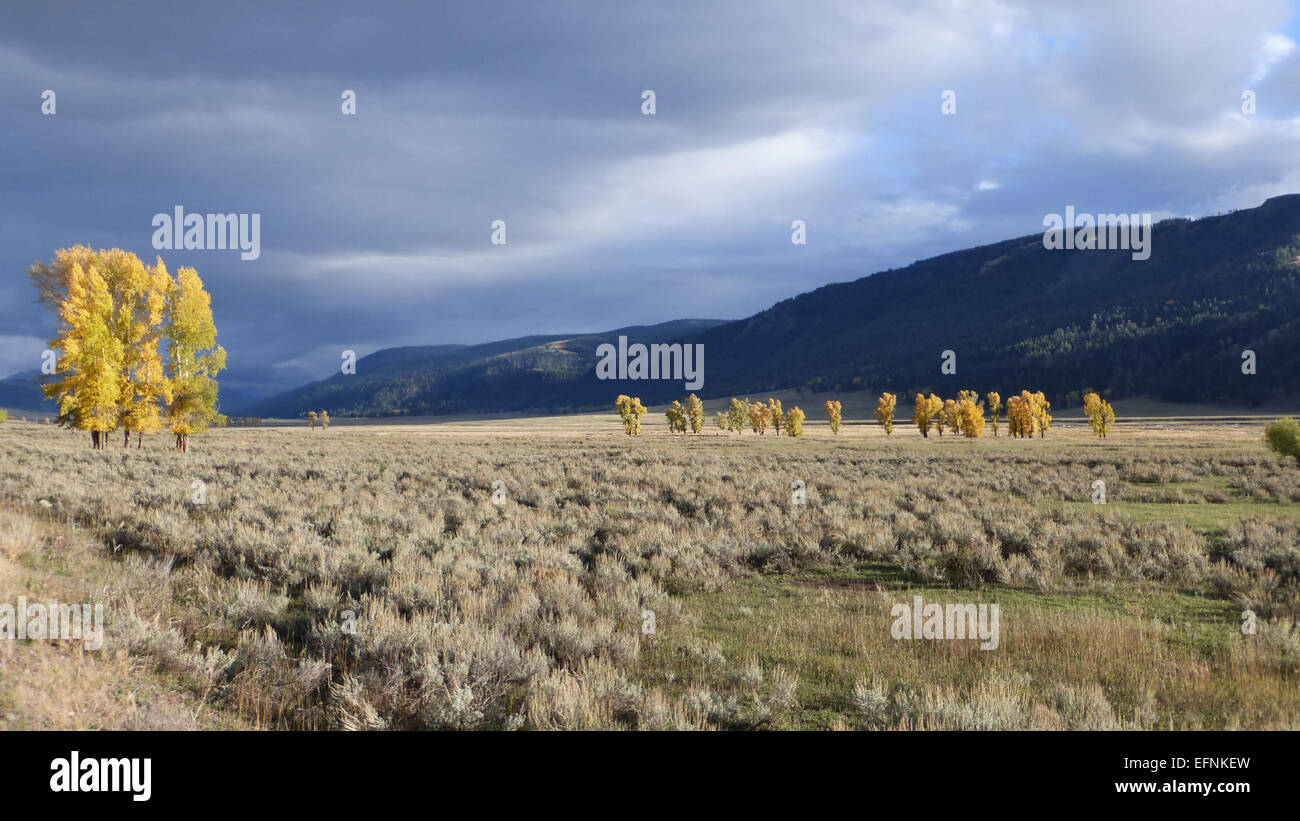 A scenic view of Yellowstone National Park's landscape is captured on ...