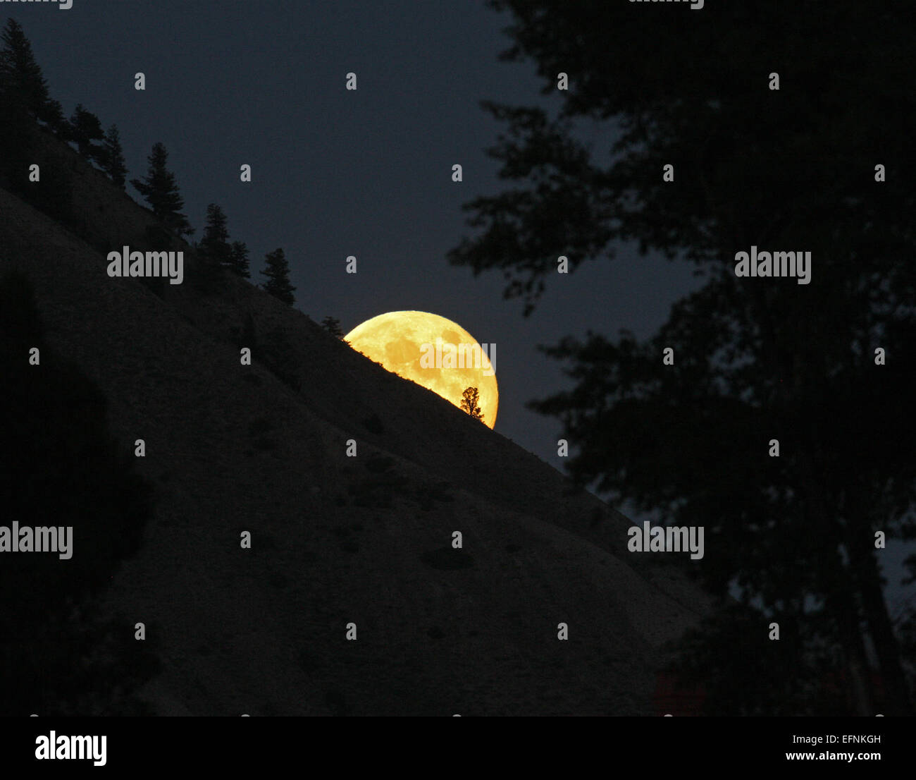 A full moon rising over Mt. Everts near Mammoth Hot Springs ...