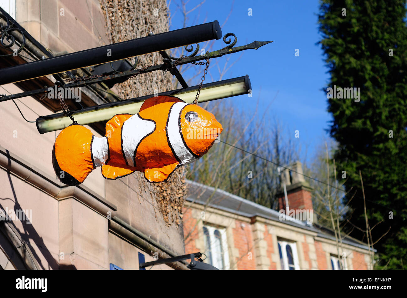 Original Victorian Thermal Baths Now Housing Matlock Bath Aquarium ...