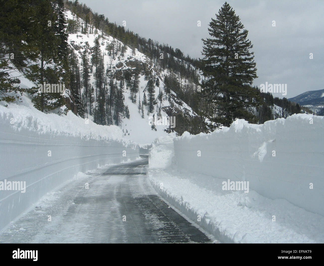 The process of snow clearing on Sylvan Pass in Yellowstone National ...