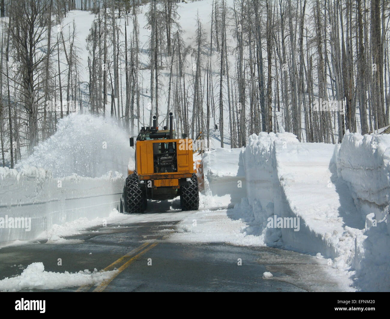 The image captures the spring plowing on the road leading to Lake Butte ...
