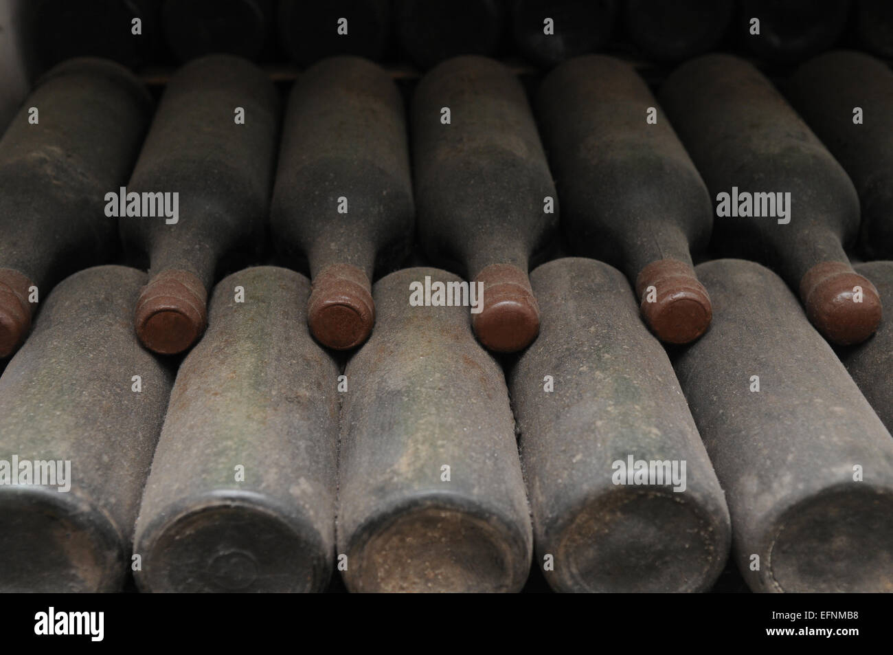 Old wine bottles covered with dust are stored at the wine cellar Stock ...