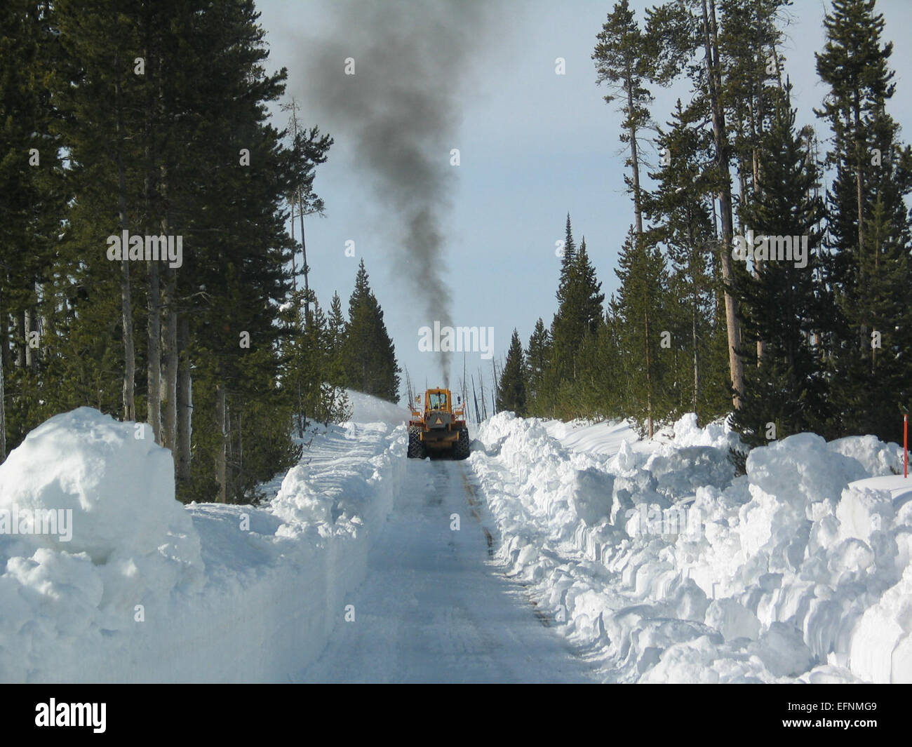 A photograph showing spring plowing operations in Yellowstone National ...
