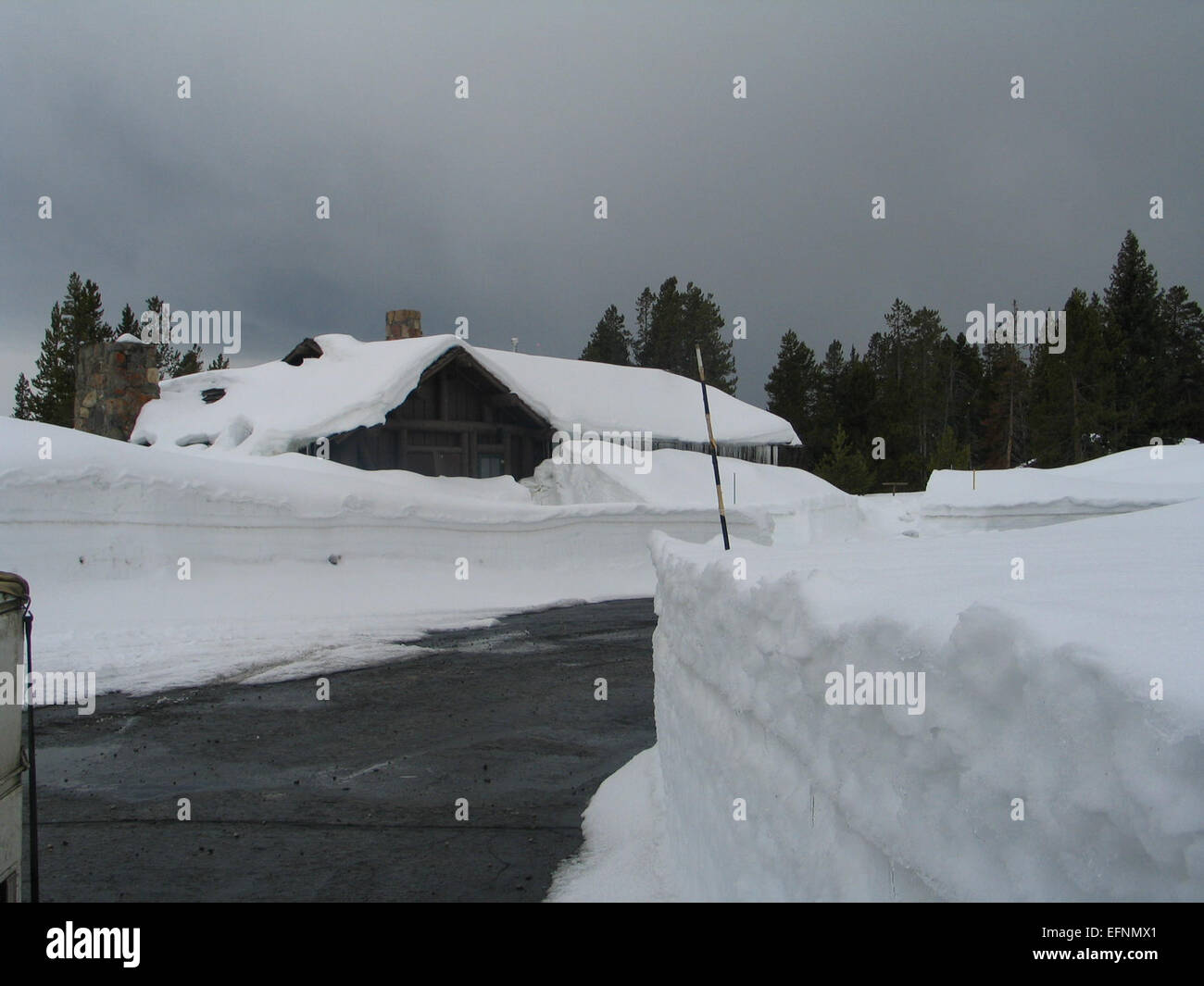 This image showcases the housing in Lake Village, located within ...