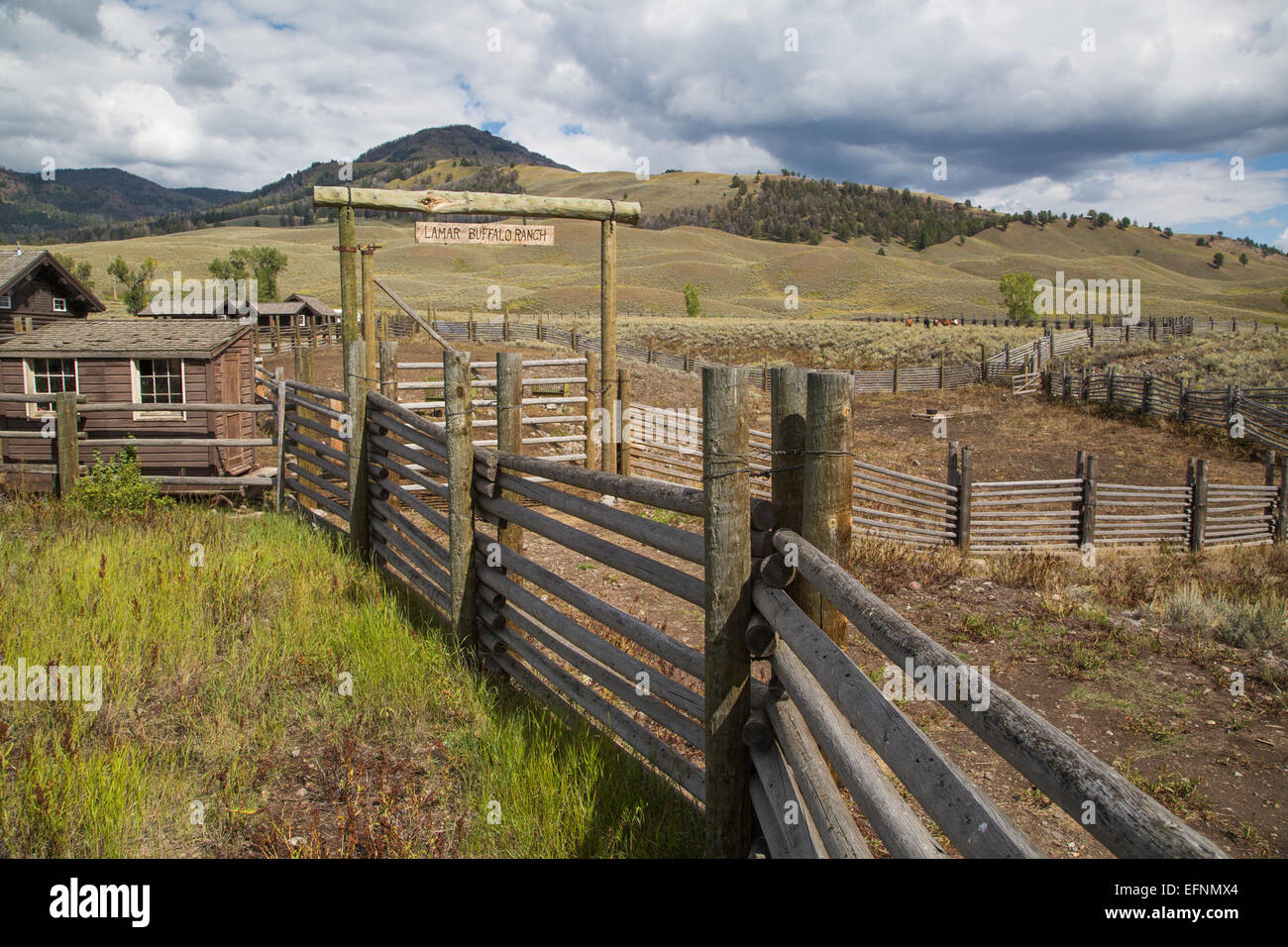 Lamar Buffalo Ranch, located in Yellowstone National Park, is a ...