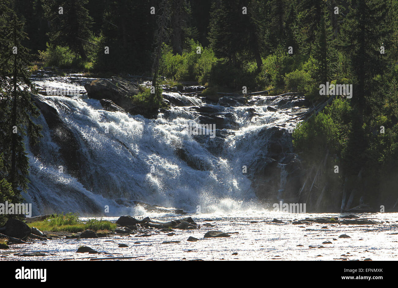 Lewis Falls, located in Yellowstone National Park, is a stunning waterfall that cascades into ...