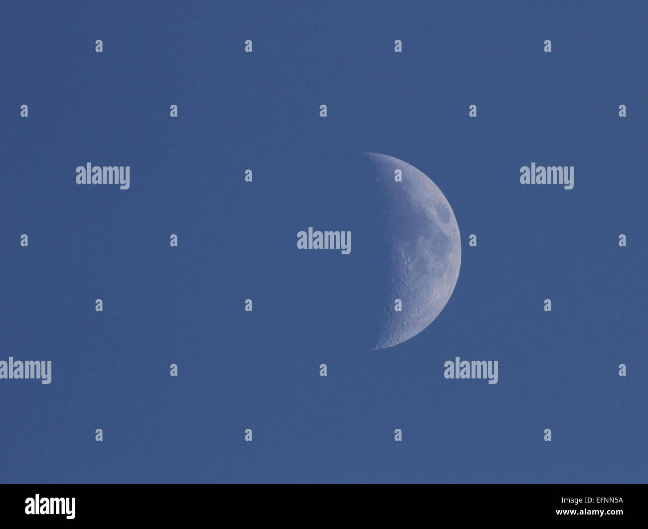 The moon rises over Hayden Valley in Yellowstone National Park ...