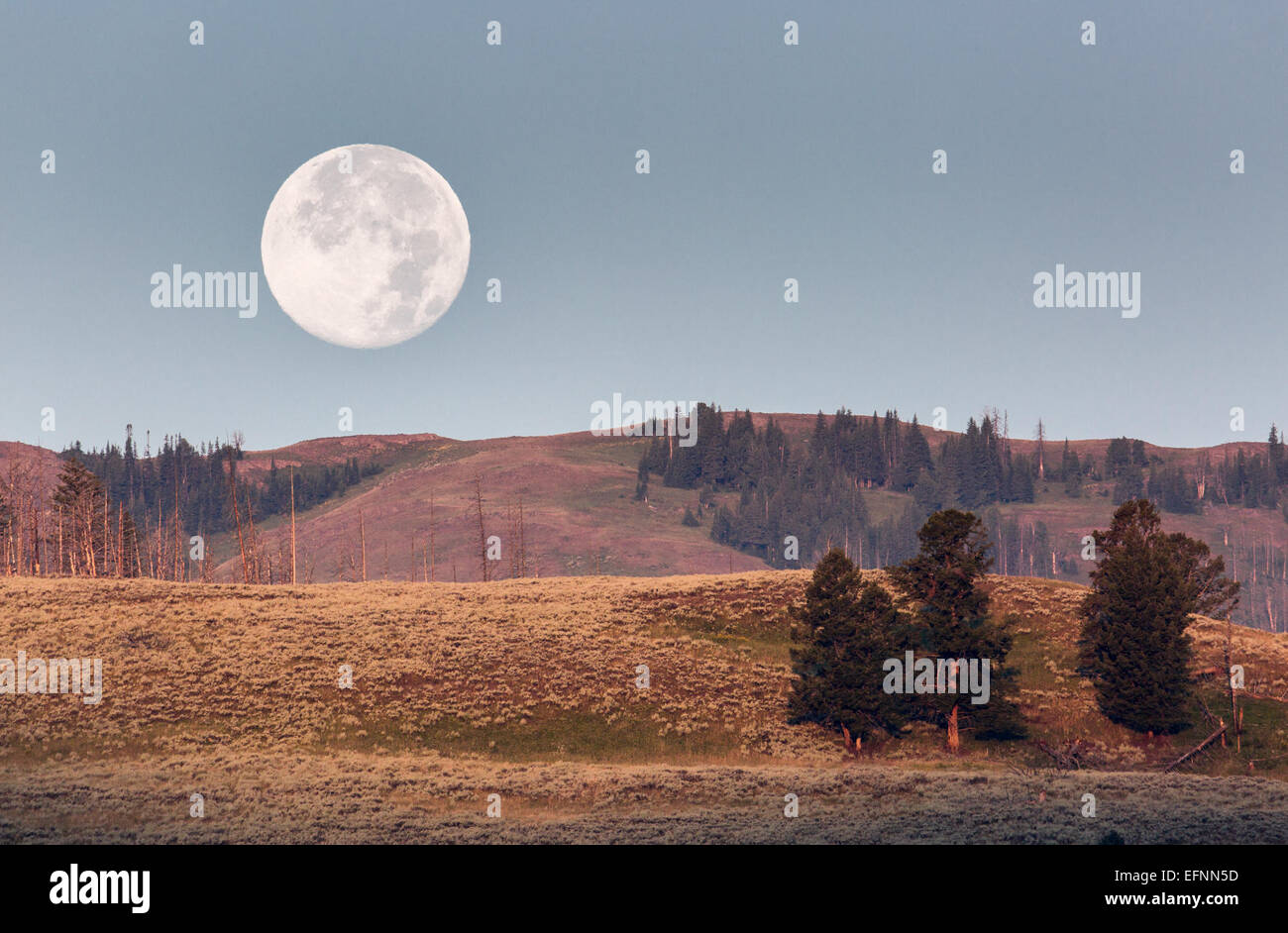 A full moon sets over Lamar Valley in Yellowstone National Park ...