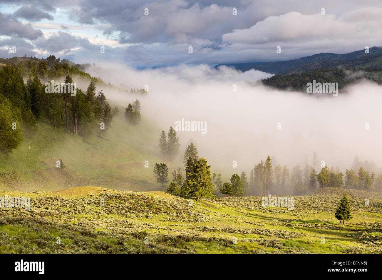 This photograph, taken by Neal Herbert, shows the Yellowstone River ...