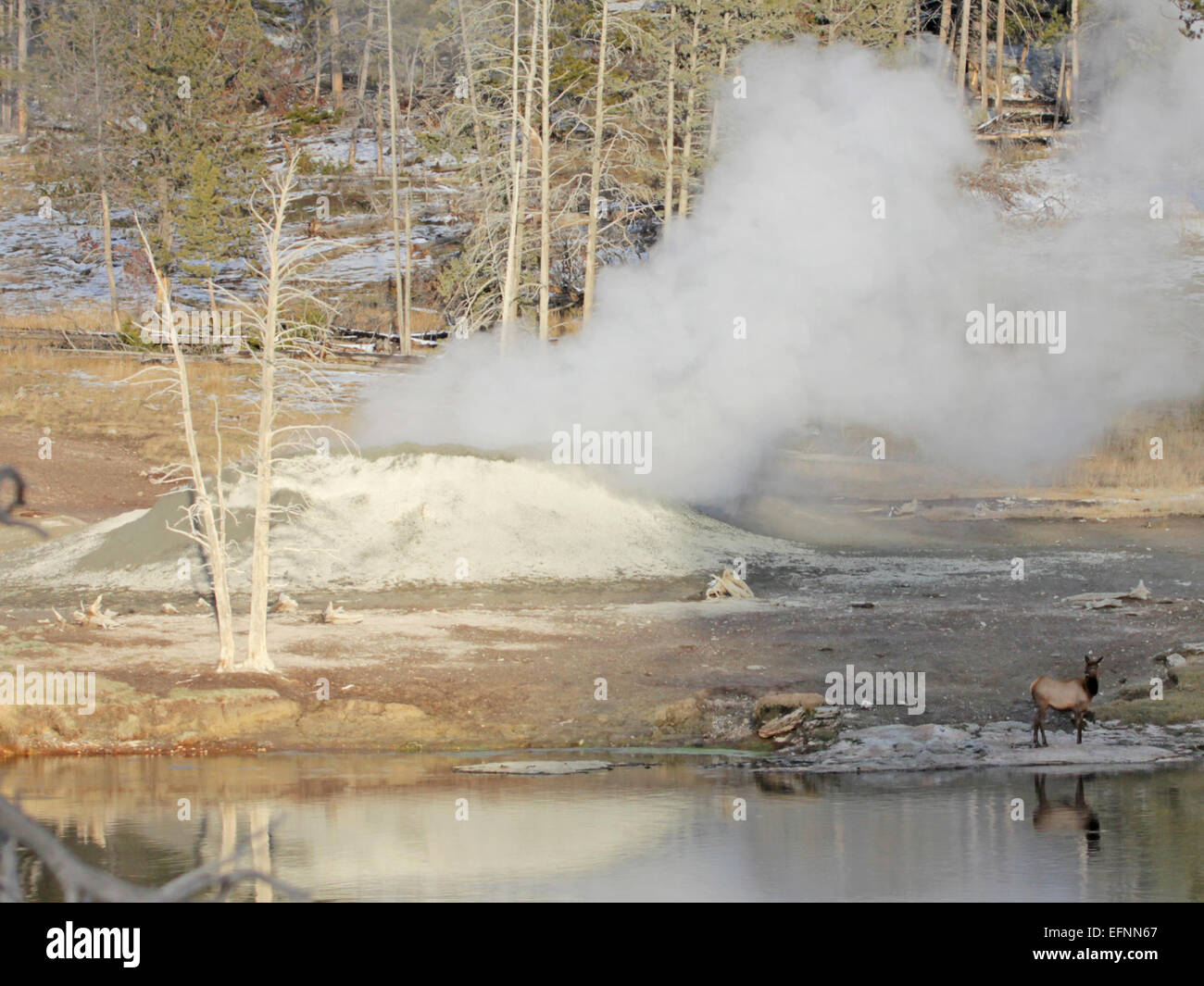 A mud pot, located across the river from the Mud Volcano in Yellowstone ...