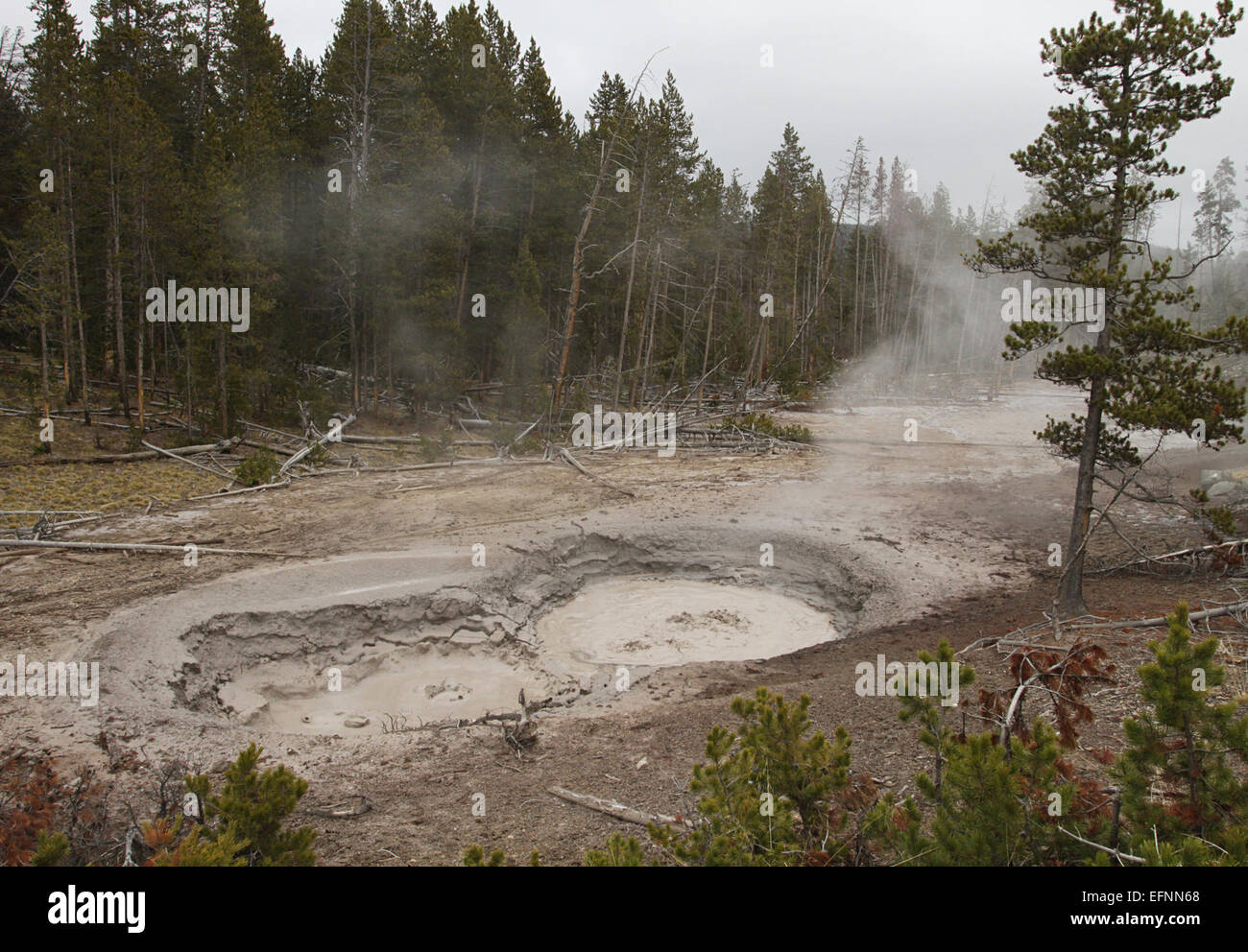 This image by Jim Peaco, taken in November 2014, shows the distinctive ...