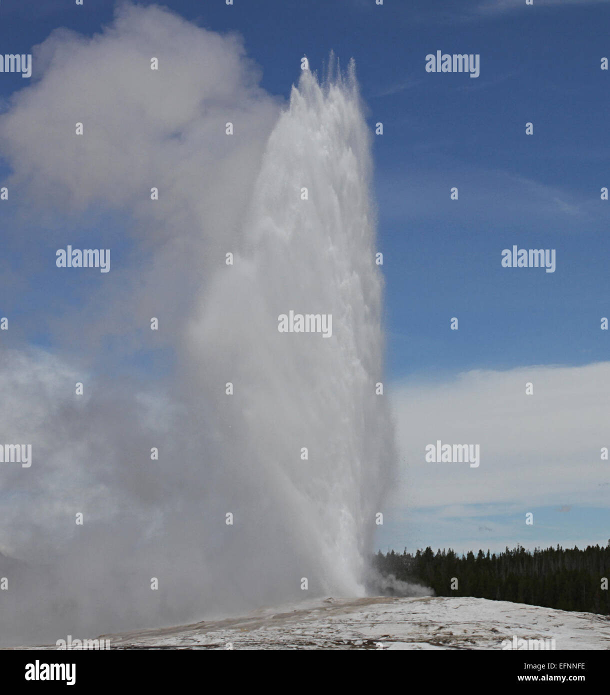 Old Faithful Geyser erupts in Yellowstone National Park, as captured by ...