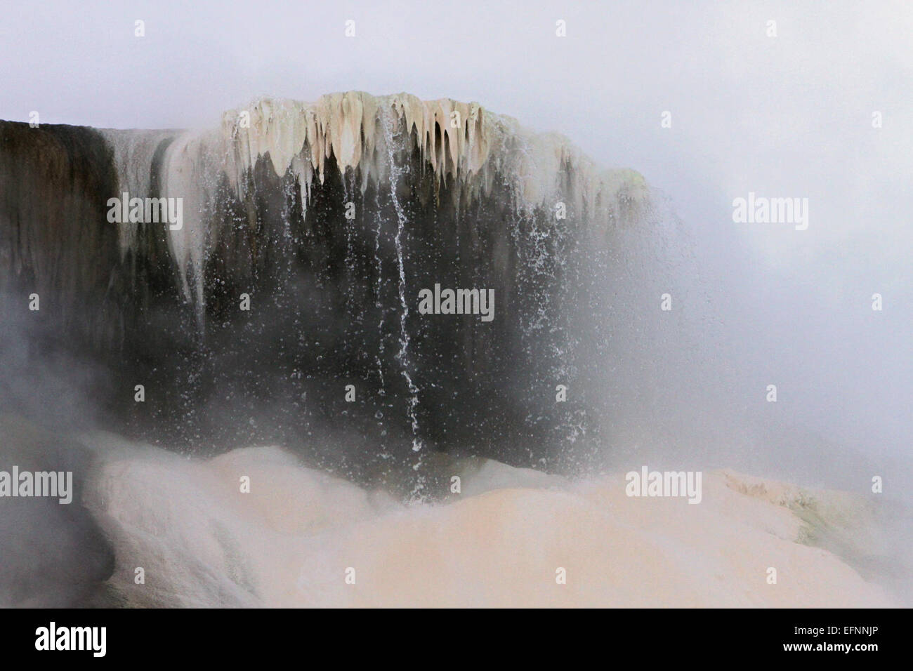 Palette Spring at Mammoth Hot Springs, Yellowstone National Park, is ...