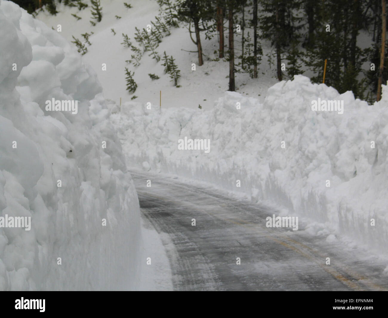 In this image, Davey Wyatt is seen plowing the fields of Craig Pass ...