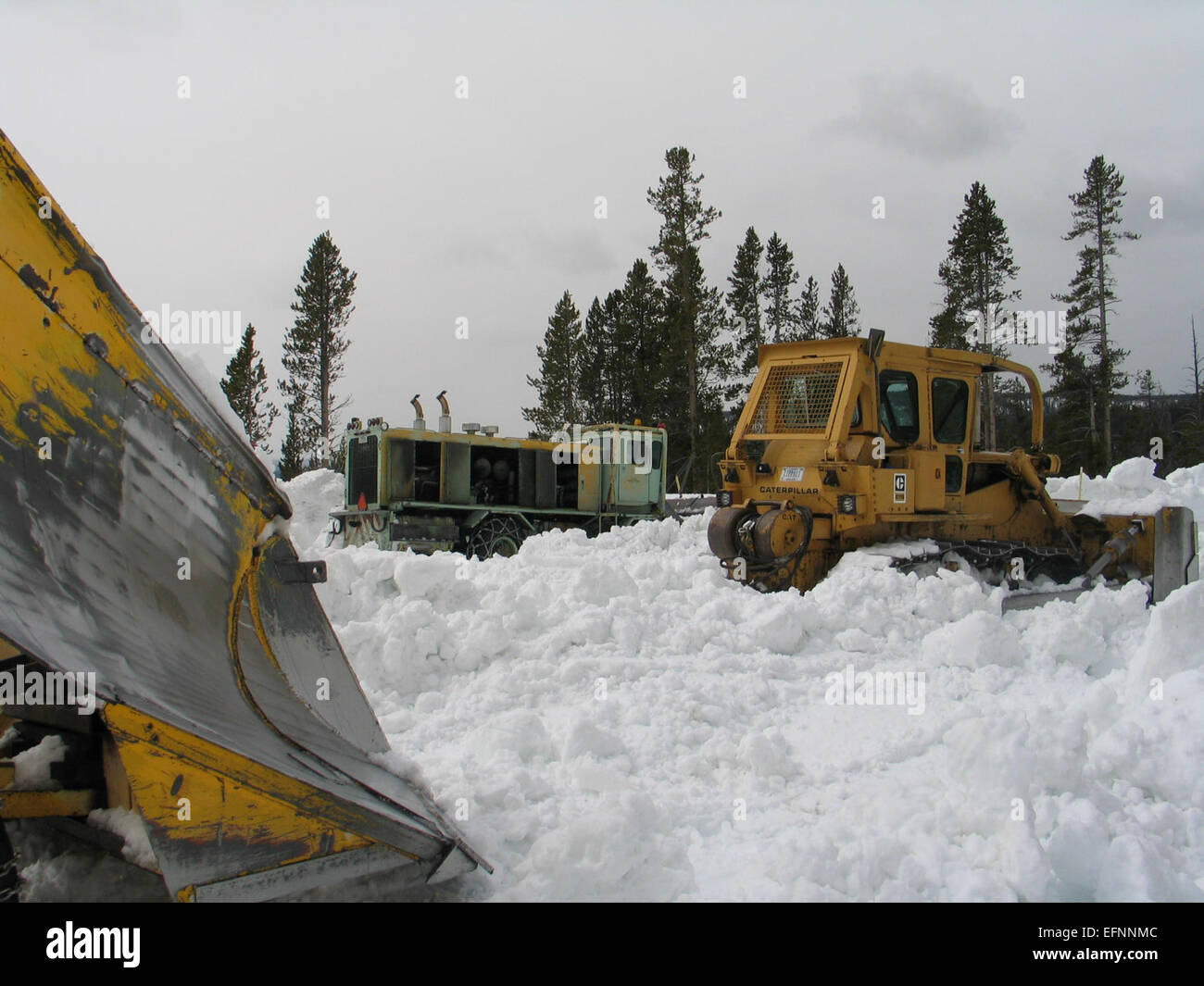 Captured by Davey Wyatt in spring 2011, this photograph depicts the ...