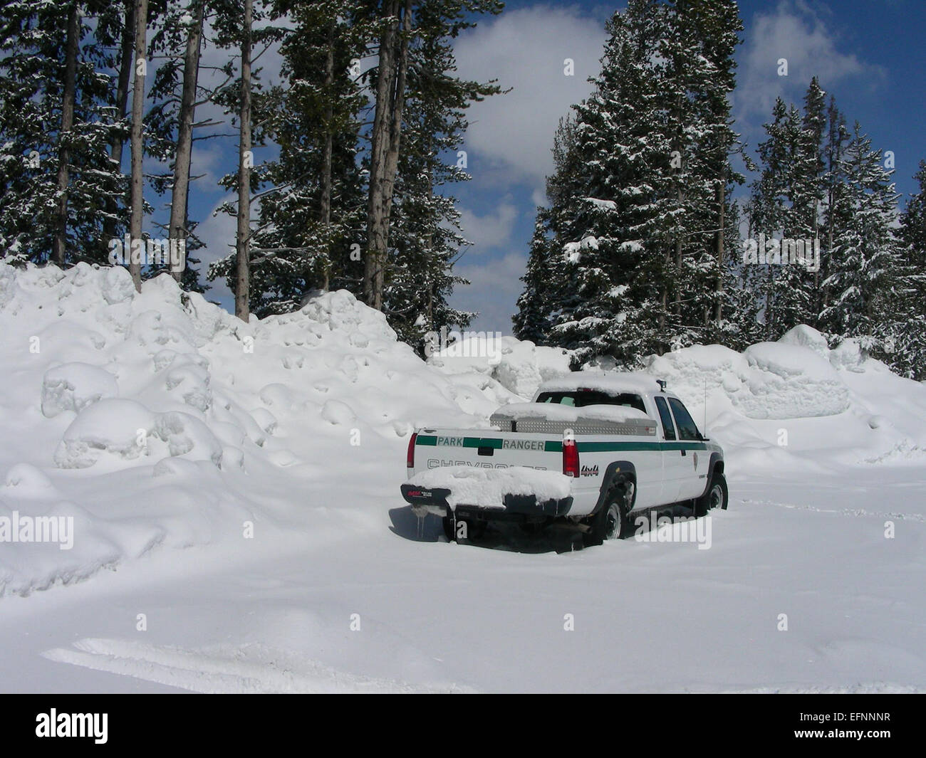 This photograph shows a pullout at Lewis Lake in Yellowstone National ...
