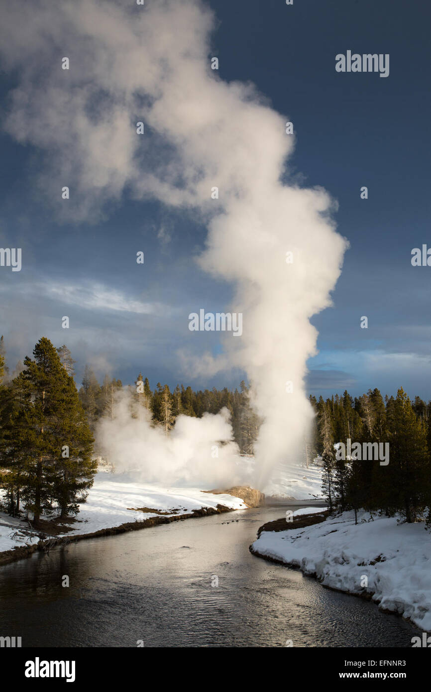 Riverside Geyser is an active geyser in Yellowstone National Park ...