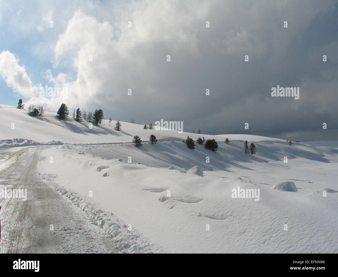 Plowing along hi-res stock photography and images - Alamy