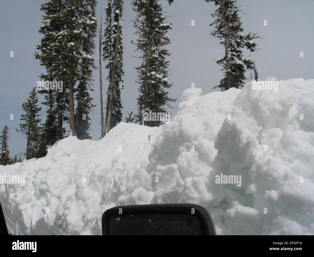 This photograph, taken by Davey Wyatt in Spring 2011, shows snow ...