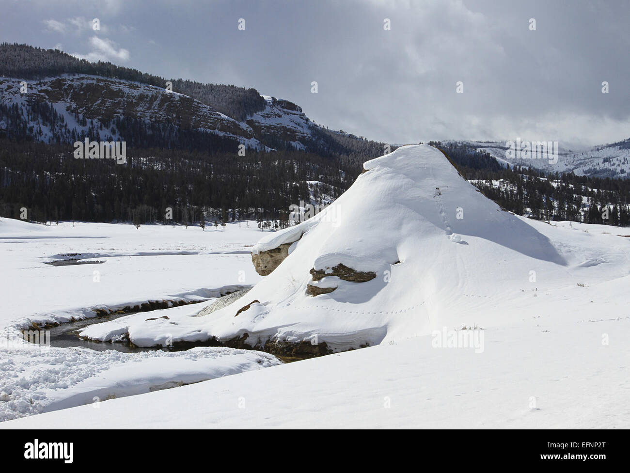 Soda Butte, a prominent feature in Yellowstone National Park, is shown ...