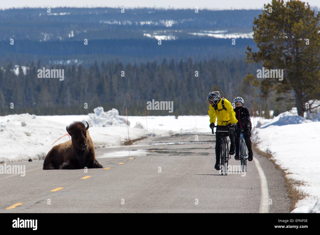 This photograph by Neal Herbert captures the start of the spring ...