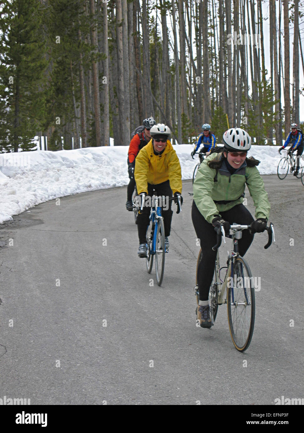 A photograph of spring bicycling in Yellowstone National Park taken by ...