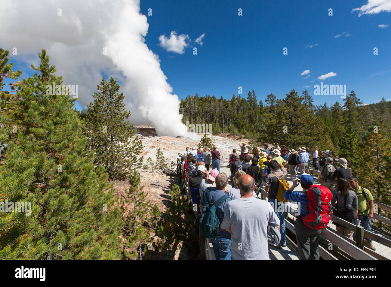 Following an eruption of Steamboat Geyser in Yellowstone National Park ...