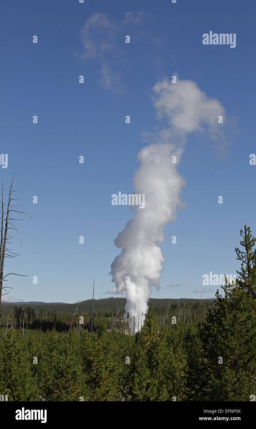 The steam phase of Steamboat Geyser in Norris Geyser Basin is captured ...