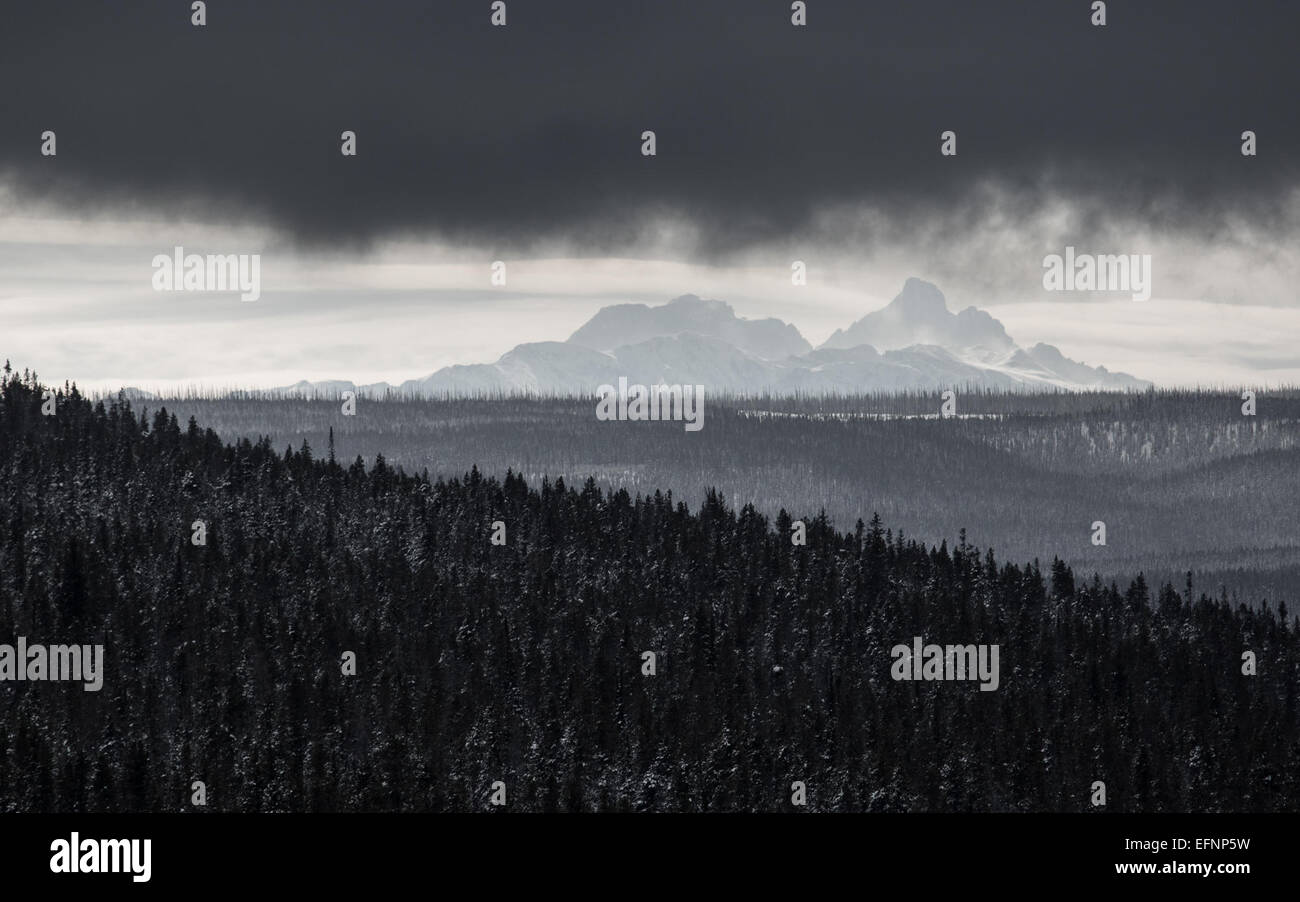 A view of the Teton Range from Craig Pass in Yellowstone National Park ...