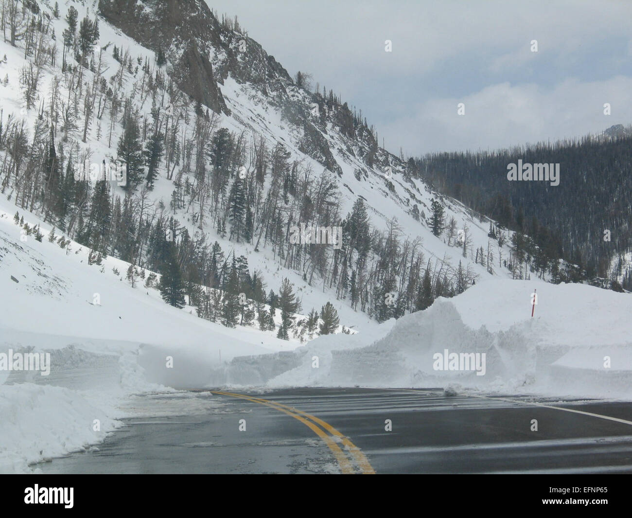 Photographer Davey Wyatt captured this image in Spring 2011, showing ...