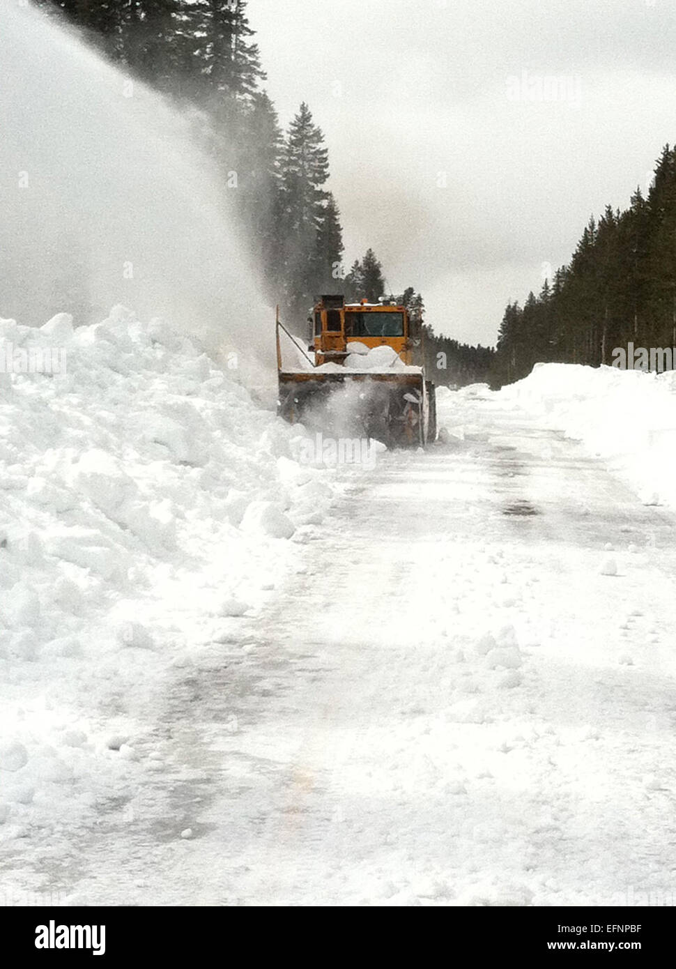 This photograph, taken by Dana Riley on April 16, 2013, shows spring ...