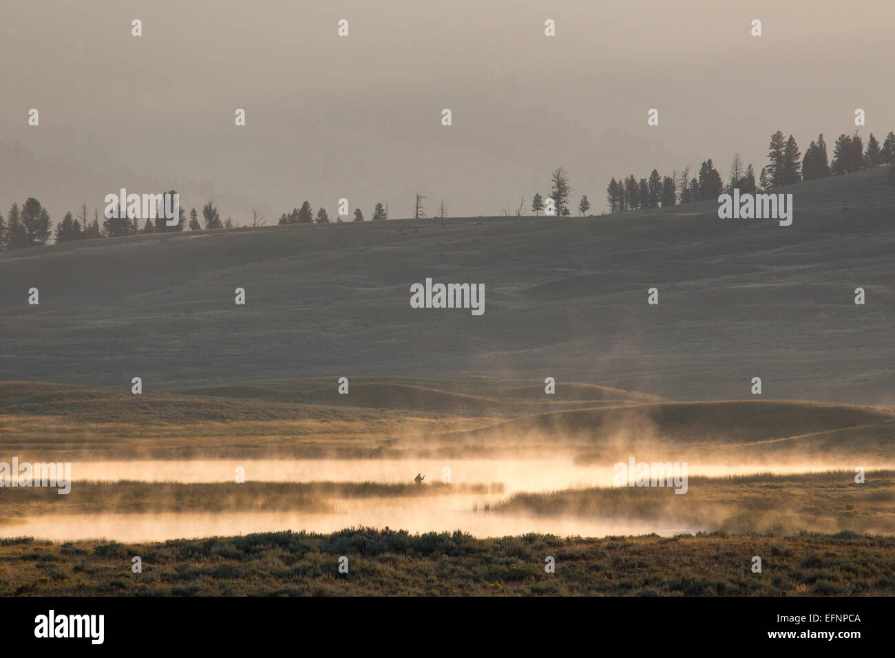 A visitor is fishing in Yellowstone National Park, captured by Neal ...