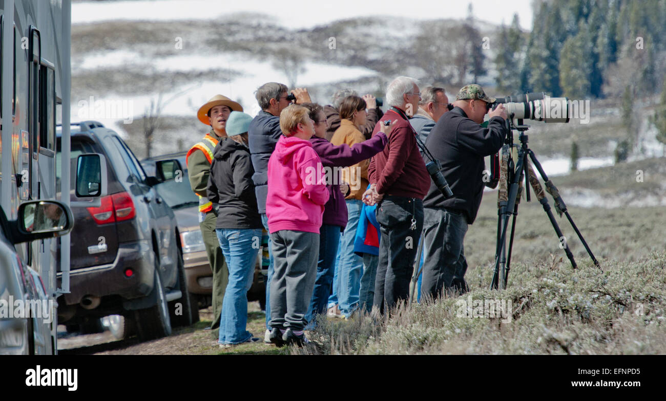 Seasonal interpretive ranger Adam Willett manages a wildlife jam at ...