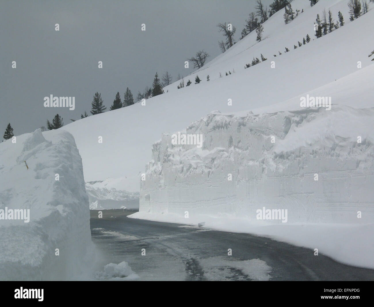 West of Cork Screw Bridge Spring plowing; Davey Wyatt; Spring, 2011 ...