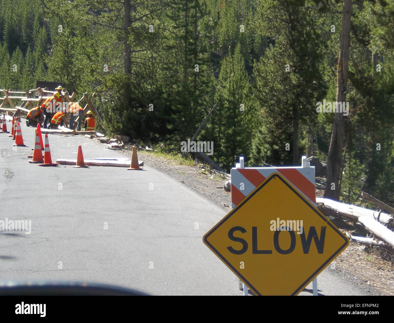 A photograph from the 2012 Yellowstone Conservation Corps (YCC) program ...
