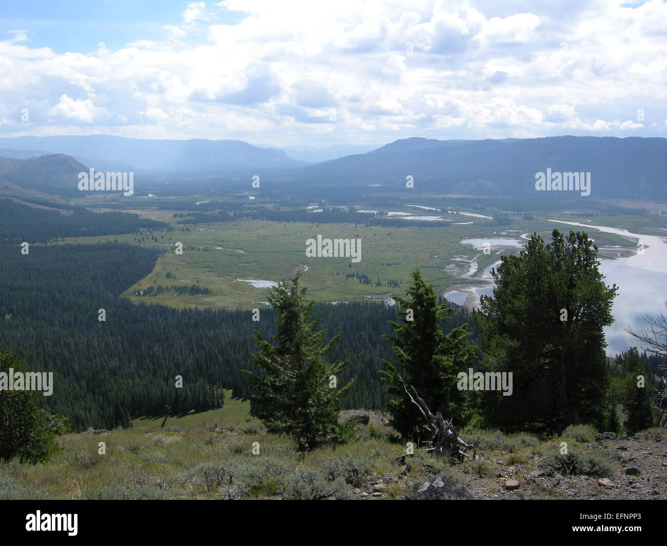 The Yellowstone River Delta, located within Yellowstone National Park ...
