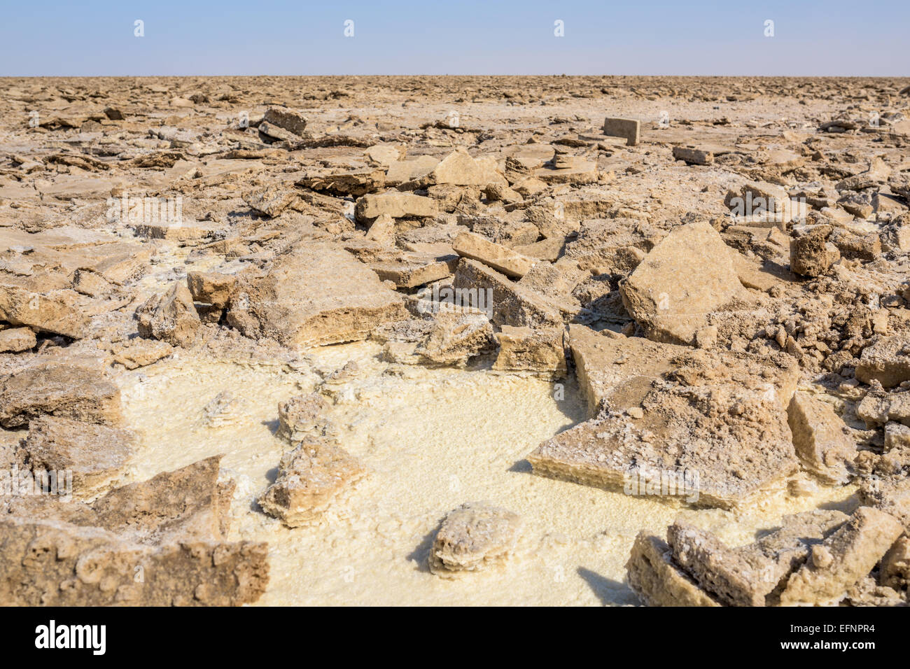 Salt mine in Danakil Depression desert in Ethiopia Stock Photo - Alamy