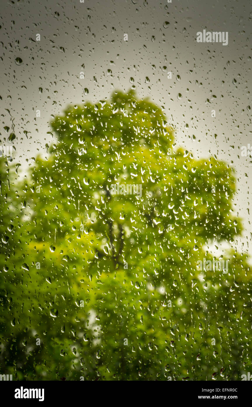 Rain drops on a window Stock Photo - Alamy