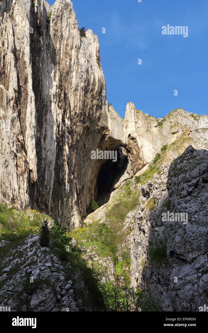 big limestone climbing wall, image taken in Cheile Turzii, Romania ...