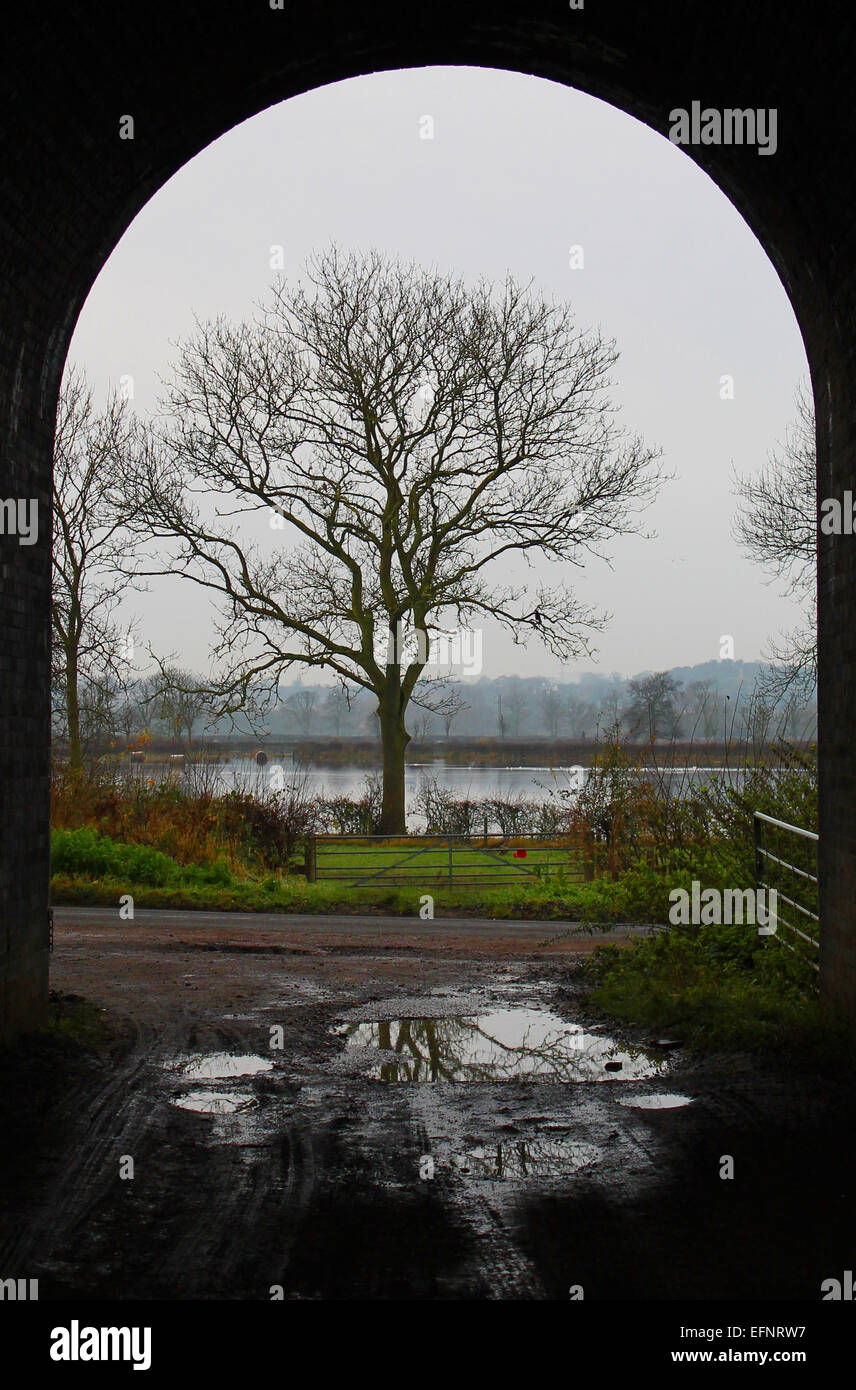 Drowning in greenery hi-res stock photography and images - Alamy