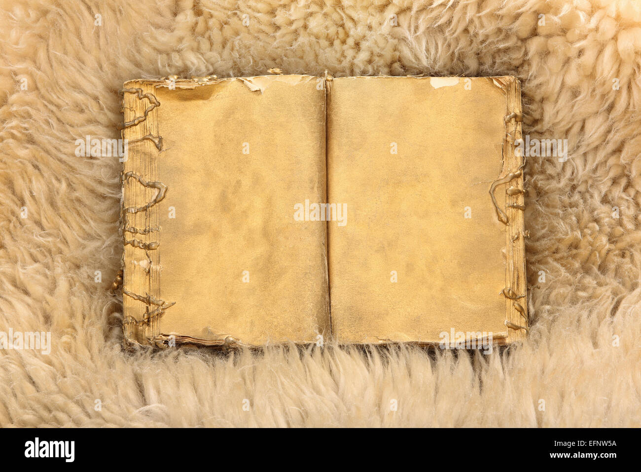 Opened old mystery book on natural sheepskin background with space for ...