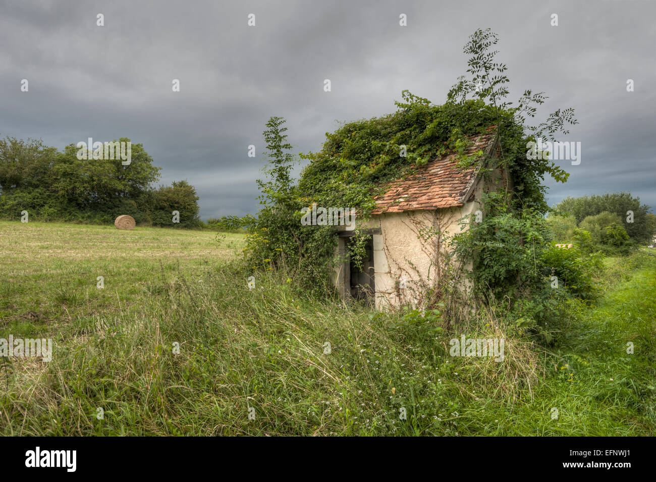 Abandoned cabin in field with overgrown vegetation, Indre-et-Loire ...