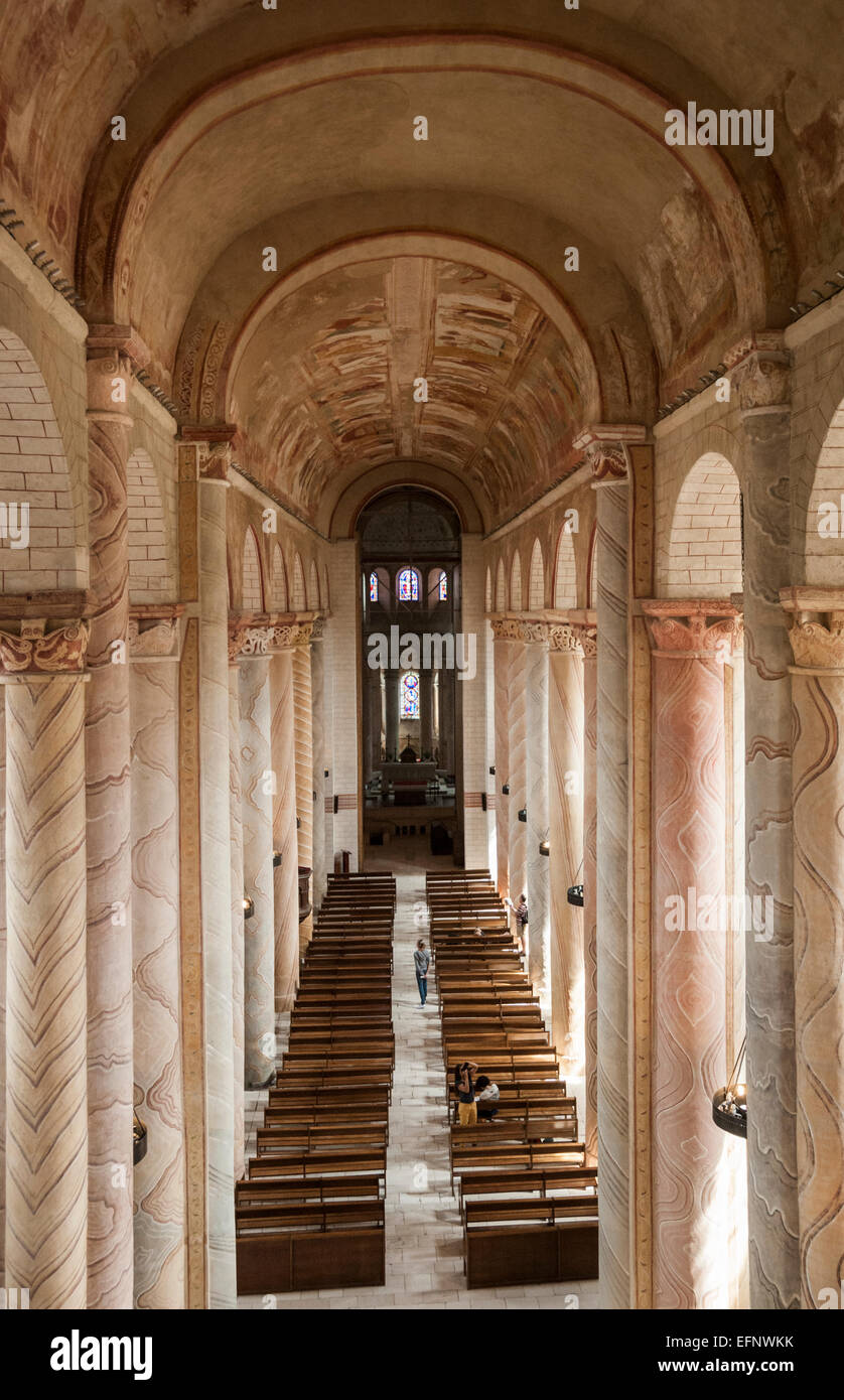 Savin Juniper Or Savin High Resolution Stock Photography and Images - Alamy