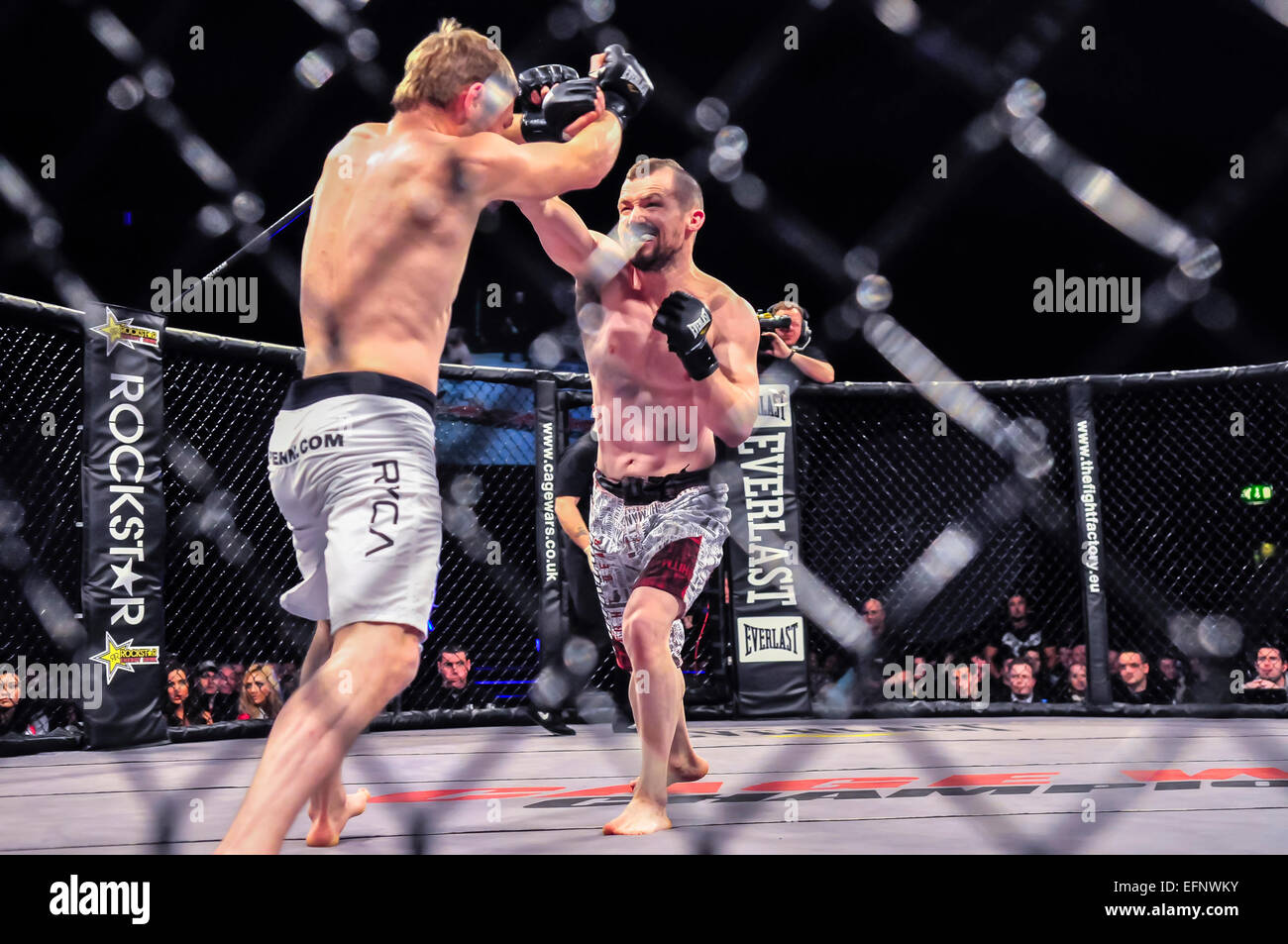 Mma fighter hi-res stock photography and images - Alamy