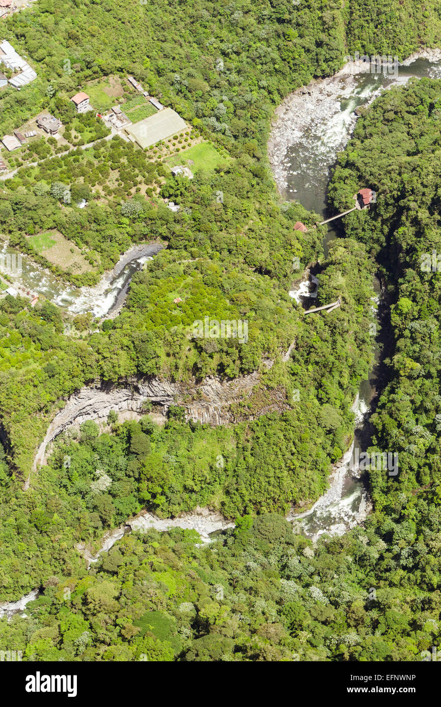 Rainforest waterfall bird hi-res stock photography and images - Alamy