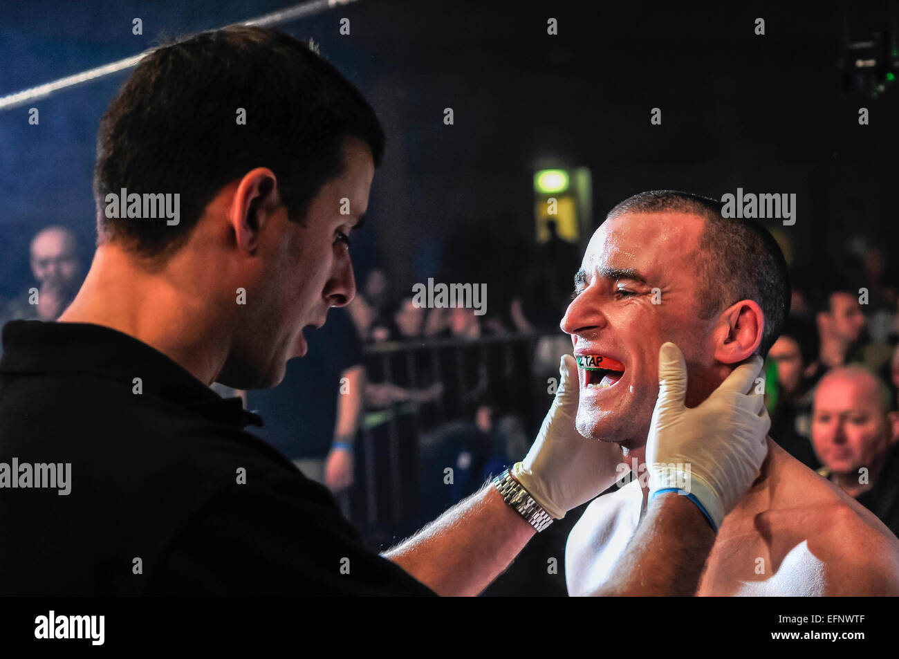 Referee in a MMA cage fight checks an opponent has the necessary safety ...