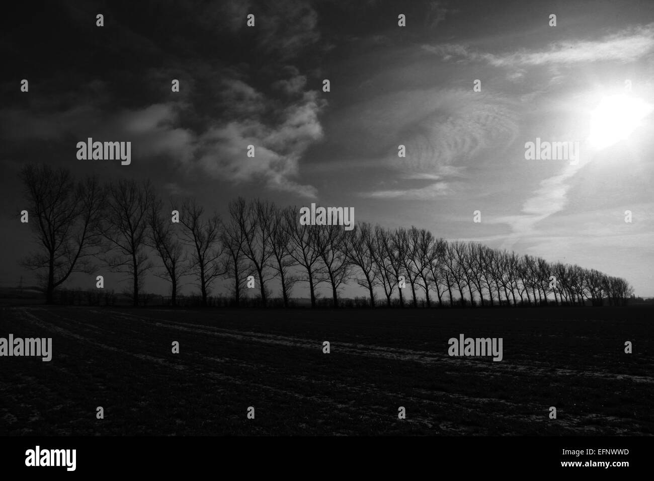 Including the physical elements of landforms hi-res stock photography ...