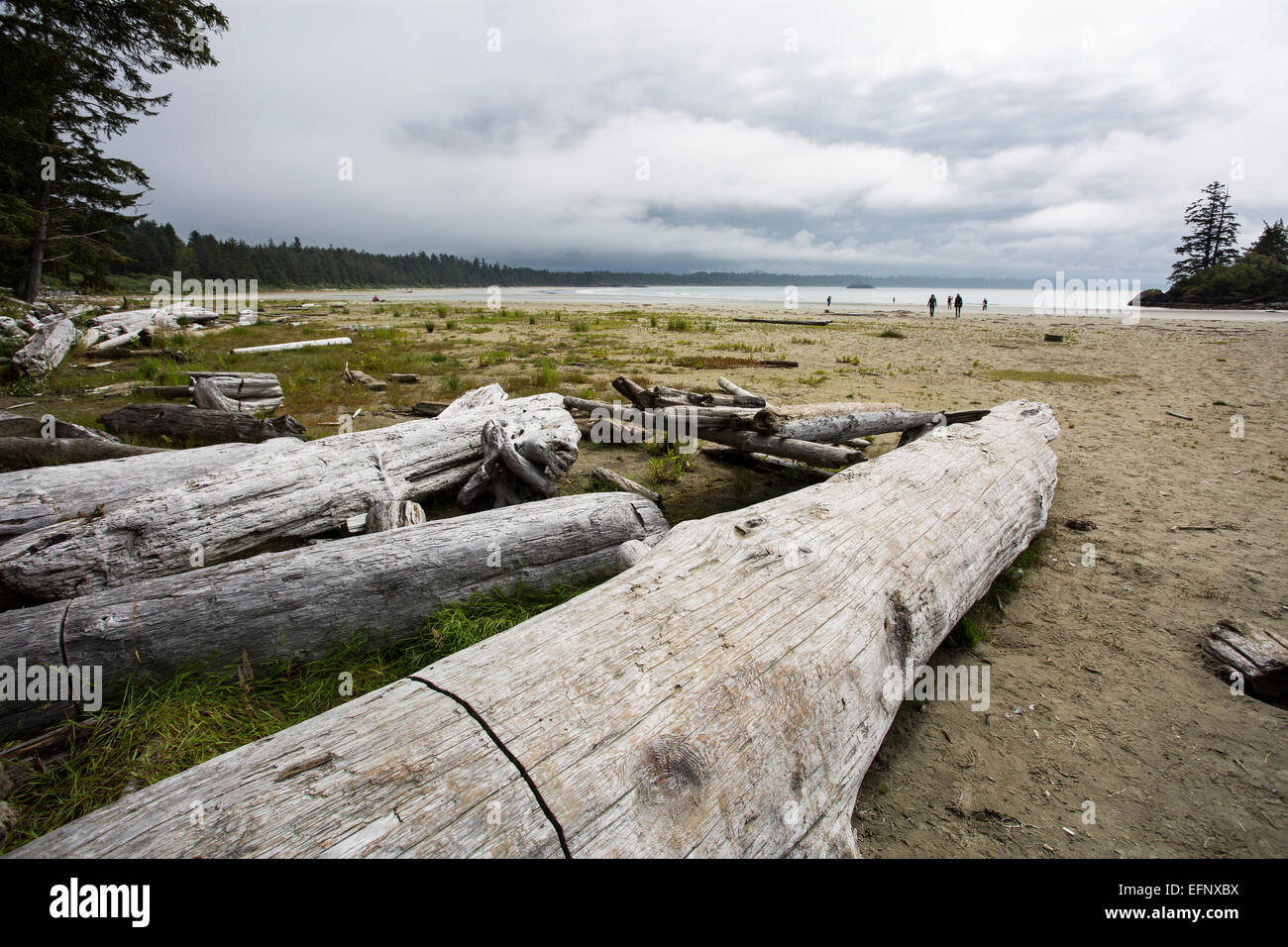 Pacific rim national park and people hi-res stock photography and ...