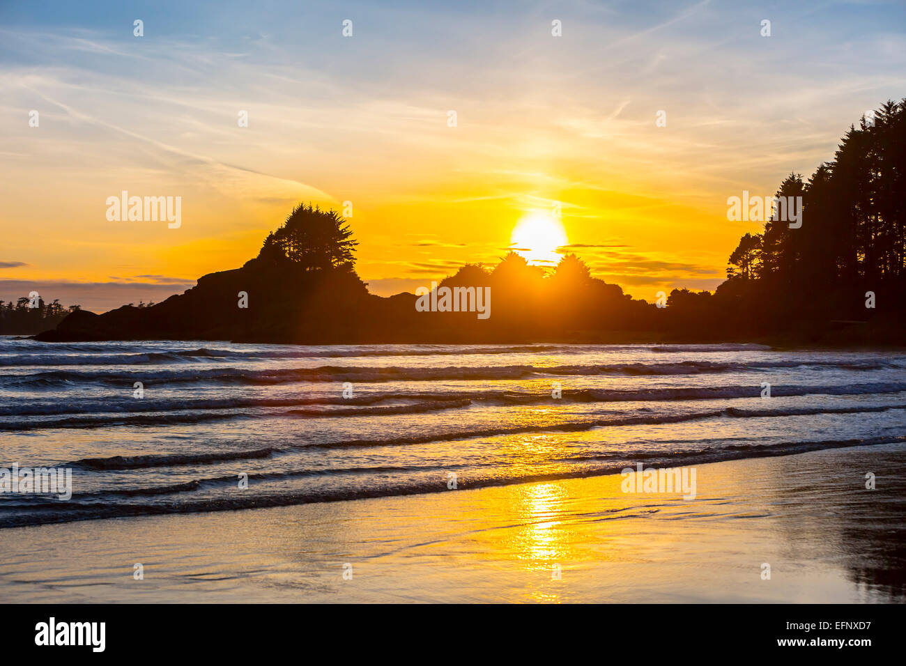 Cox island hi-res stock photography and images - Alamy