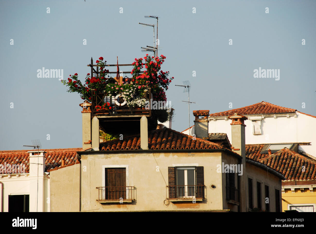 Rooftop Garden, Venice, Italy Stock Photo - Alamy